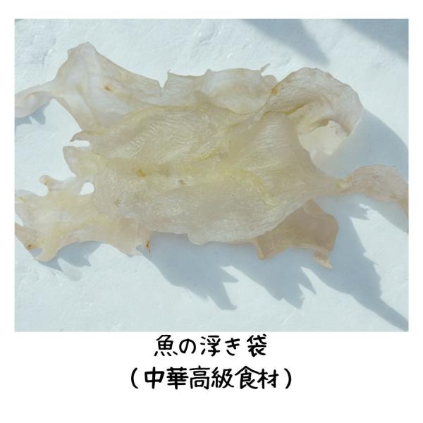 魚の浮き袋ベトナム産新タイプは薄く軽いのでカットいたしません魚の浮き袋は中華料理やベトナム料理に利用されている高級食材です戻すとプルンとした状態になります魚の浮き袋には、健康な皮膚をサポートするコラーゲンが多く含まれています良質なタンパク源...