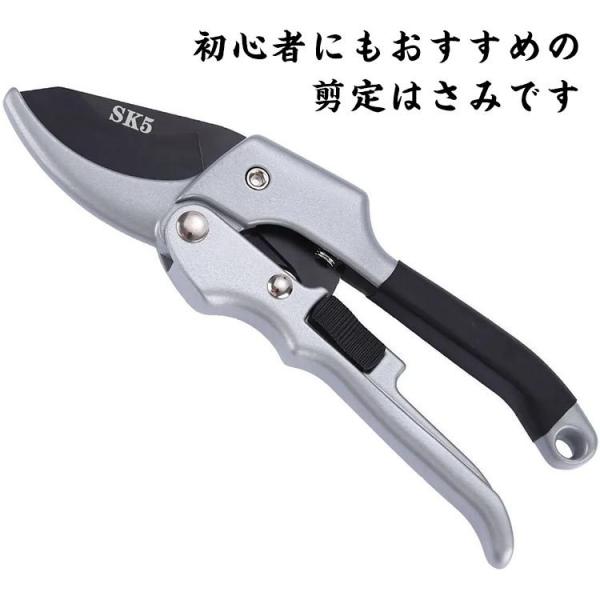 刃長さ60mm 刃厚さ2.5mm 全長203cm 重量180g