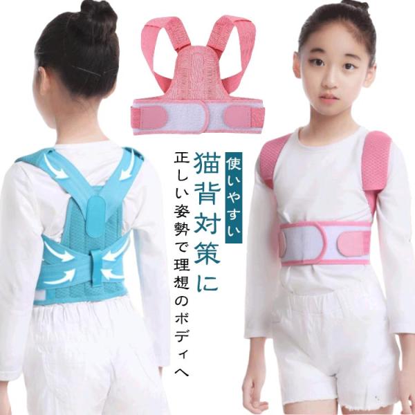 S 体重10-17.5kg<br>M 体重17.5-27.5kg<br>L 体重27.5-37.5kg<br>XL 体重37.5-70kg