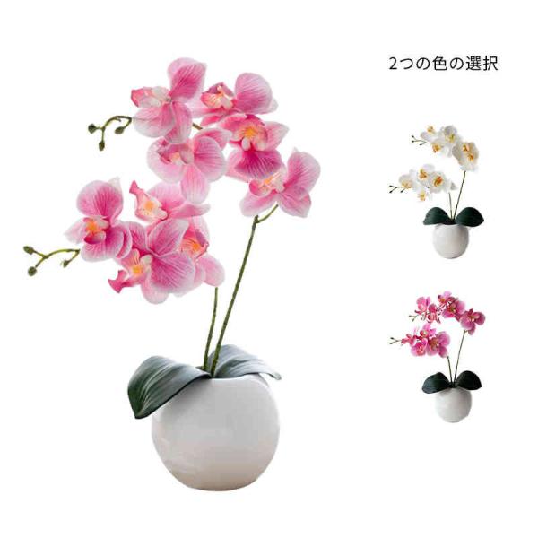 サイズ：約20*35cm*10cm