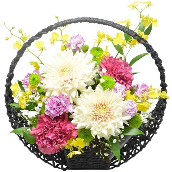 ・商品詳細：お洒落な黒の和風バスケットに白マムを使用した和風アレンジメントです。・商品サイズ：高さ30cm×横28cm×奥行16cm・商品について：現在表示されております画像はイメージ画像となります。お花の入荷状況により大きさ、長さが異なる...