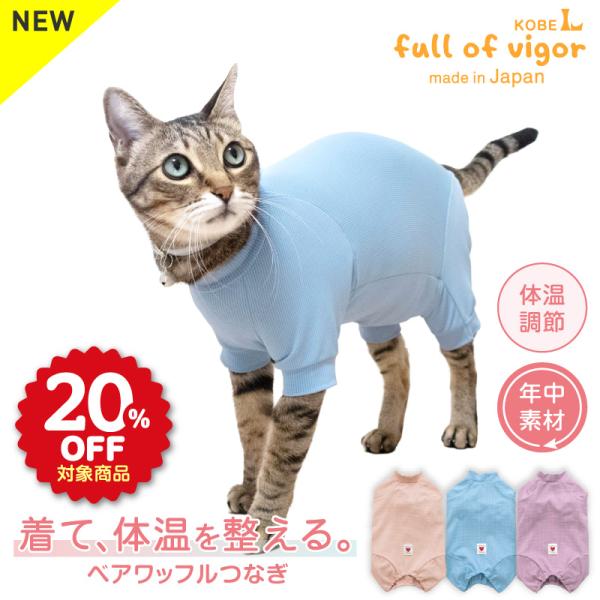 暑すぎず、寒すぎず。ちょうどいいって、やさしい。周囲の気温に合わせて熱をためたり逃がしたりすることで、体温を快適な範囲に保ってくれます。ぽっちゃり体型でもしっかりフィット。驚くほど伸縮性が高く、体にやさしく寄り添います。締めつけ感がなく快適...