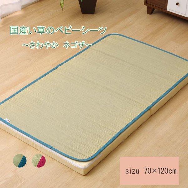 ■サイズ： 約70×120cm■カラー： ブルー ピンク■組成い草　　縁：綿100％裏：ゴムバンド付き■原産国： 日本▼青 冷感 クール 夏用 サイズ コンパクト 腰に良い 体圧分散 腰痛 腰痛対策 家族 ファミリー ファミリーサイズ パッ...