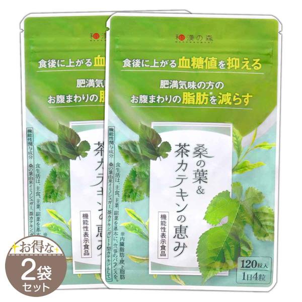 2袋セット 桑の葉＆茶カテキンの恵み 38.4g 320mg × 120粒 和漢 和漢の森 サプリメント 桑の葉茶カテキンS07-02 KWCHCA-02P