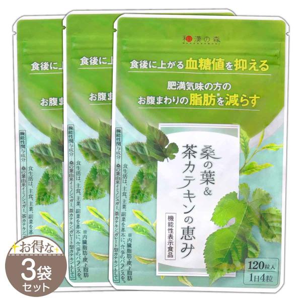 3袋セット 桑の葉＆茶カテキンの恵み 38.4g 320mg × 120粒 和漢 和漢の森 サプリメント 桑の葉茶カテキンS07-02 KWCHCA-03P