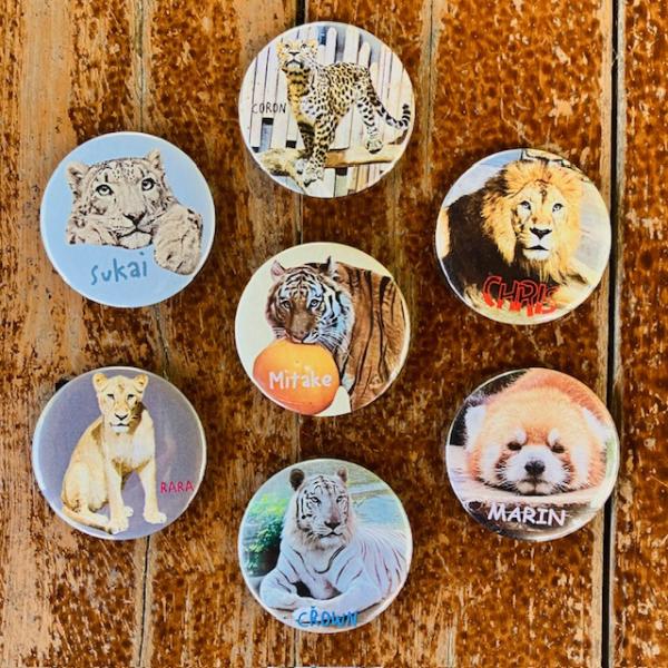 いしかわ動物園で人気の動物たちがマグネットになりました家事やお仕事中に見えるところに貼っておけば、ゆる〜い表情とポーズに癒されることまちがいなしです♪サイズ：44mm※製品の仕様変更により、裏面のマグネットの形状が異なる場合がございます