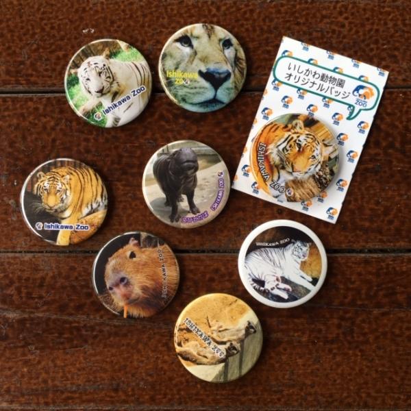 いしかわ動物園で人気の動物たちが缶バッジになりましたバッグやポーチにつければ、ゆる〜い表情やポーズに癒されること間違いなし♪サイズ：44mm
