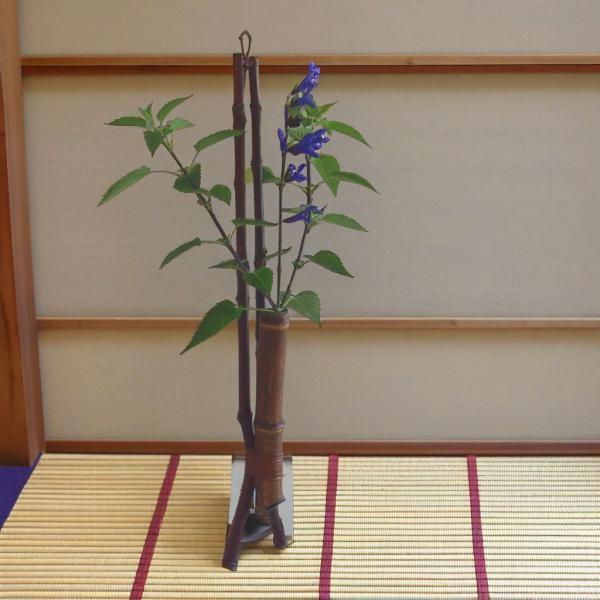 大正 昭和時代 竹垂發(すいはつ)掛花入62ｃｍです。経年により益々味わいを増した古雅な雰囲気を持っており素朴で、シンプルなその佇まいは空間をさりげなく演出することができ茶室に季節の草花を添えれば大変風流です★和室の長押(なげし)にフックを...