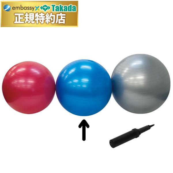 リハビリ運動からアスリートの筋力保持まで幅広く活躍する定番商品。身体の歪みや姿勢矯正にも役立ち気楽に楽しみながらトレーニング。専用エアーポンプが付属します。
