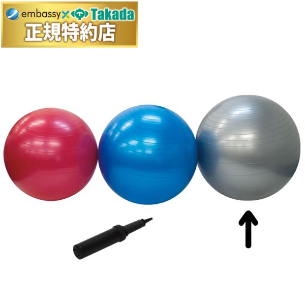 リハビリ運動からアスリートの筋力保持まで幅広く活躍する定番商品。身体の歪みや姿勢矯正にも役立ち気楽に楽しみながらトレーニング。専用エアーポンプが付属します。