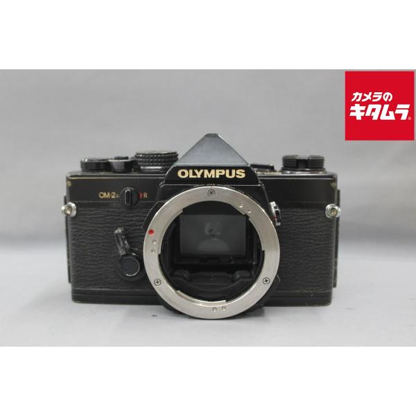 【発売日：2023年12月29日】[送料無料][フィルムカメラ]