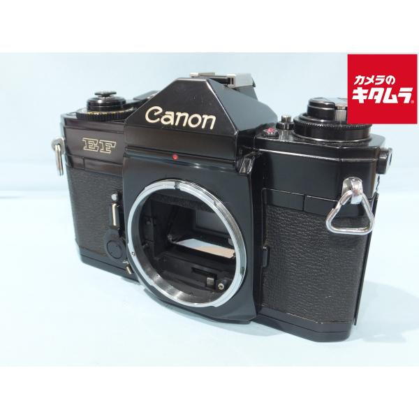 【発売日：2024年06月15日】[送料無料][フィルムカメラ]