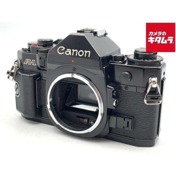 【発売日：2024年11月23日】[送料無料][フィルムカメラ]