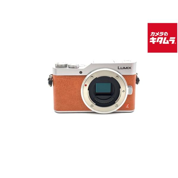 【発売日：2026年03月18日】[送料無料][当社中古カメラ6ヶ月保証付き][ミラーレス一眼]