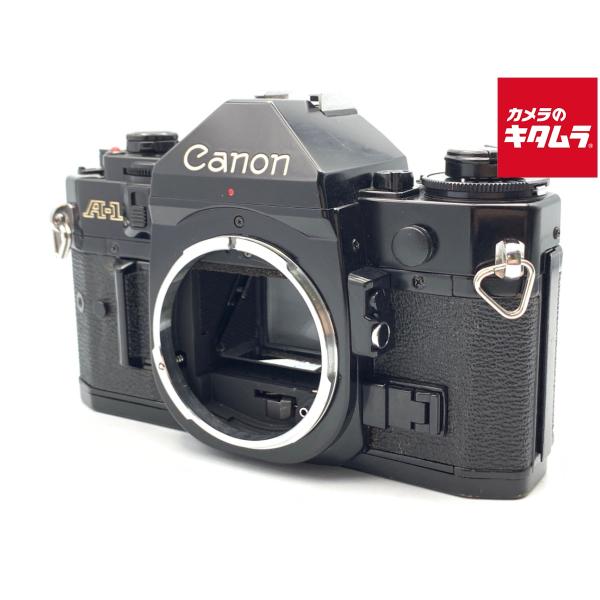 【発売日：2024年09月11日】[送料無料][フィルムカメラ]