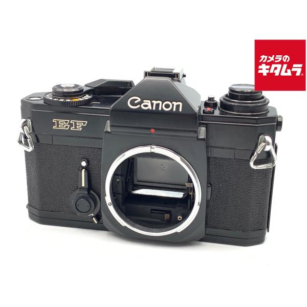 【発売日：2025年08月02日】[送料無料][フィルムカメラ]