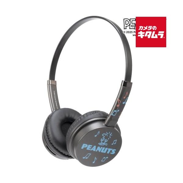 【発売日：2026年01月28日】[送料無料][type2`テレビゲーム`TVゲーム`ゲーム用``nintendo`任天堂`ニンテンドー`スイッチ`ゲーム`]