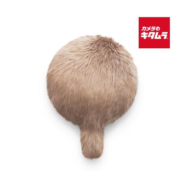 【発売日：2020年12月17日】[送料無料][`qoobo`ux-xu`ユカイ工学`しっぽセラピー`クーボ`クッション`クラウドファンディング`猫`ネコ`ZIP!`あさイチ`ヒルナンデス！`めざましどようび`マツコ会議`王様のブランチ`マ...