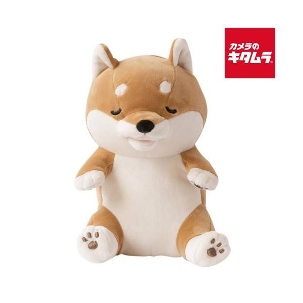 【発売日：2022年07月27日】[送料無料][YUKAI`あまがみ`甘がみ`ぬいぐるみ`ノンストップ！`ハツモノQ`設楽統`ハライチのターン`岩井勇気`ネコちゃんニュース`がっちりマンデー！！`一芸家電メーカー`天野ひろゆき`キャイ〜ン`...