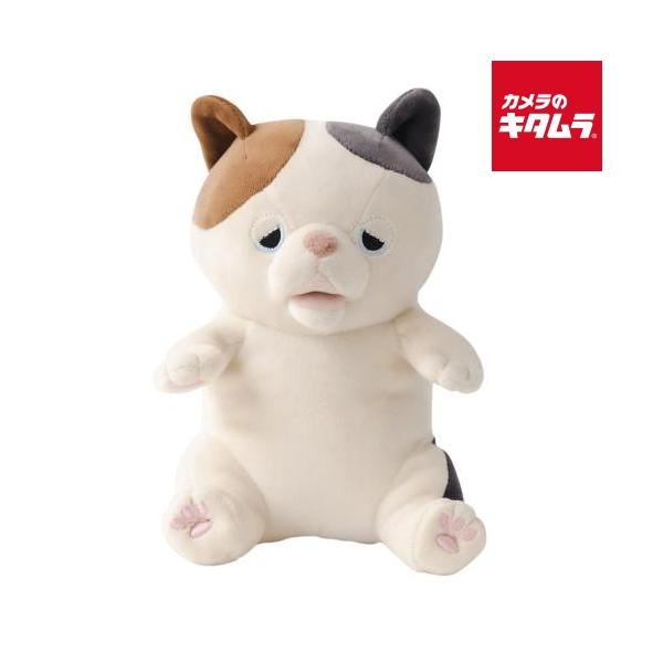 【発売日：2022年07月27日】[送料無料][YUKAI`あまがみ`甘がみ`ぬいぐるみ`ノンストップ！`ハツモノQ`設楽統`ハライチのターン`岩井勇気`ネコちゃんニュース`がっちりマンデー！！`一芸家電メーカー`天野ひろゆき`キャイ〜ン`...