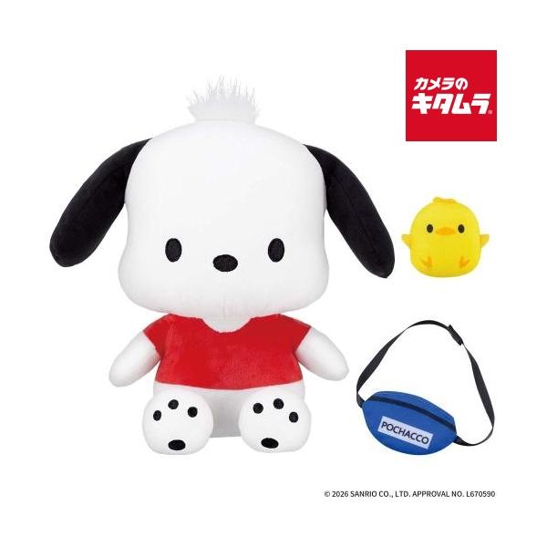 【発売日：2026年08月01日】[送料無料][バンダイ`BANDAI`きみとおさんぽ♪`おしゃべりポチャッコ`ピヨ`サンリオ`Sanrio`ぬいぐるみ`音声玩具`おもちゃ`玩具`おしゃべりおもちゃプレゼント`ギフト`クリスマス`誕生日`バ...
