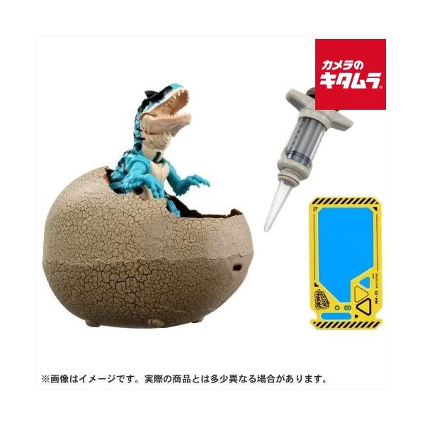 【発売日：2026年04月25日】[送料無料][TAKARATOMY`アニアアニマルアドベンチャー`ANIAANIMALADVENTURE`動物`フィギュア`ミニチュア`おもちゃ`玩具`プレゼント`ギフト`クリスマス`誕生日`バースデー`パ...
