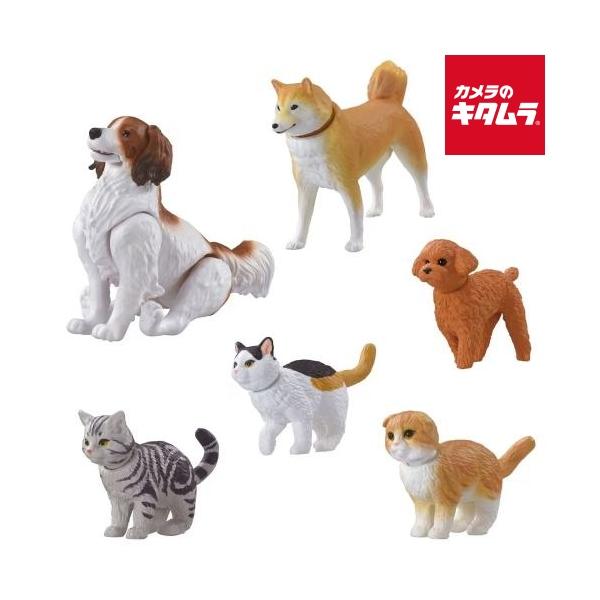 【発売日：2025年06月21日】[送料無料][TAKARATOMY`おもちゃ`玩具`ania`アニマルアドベンチャー`ギフトセット`プレゼント`ギフト`クリスマス`誕生日`バースデー`パーティー`イベント`景品`入学`入園`祝い`孫`トイ...