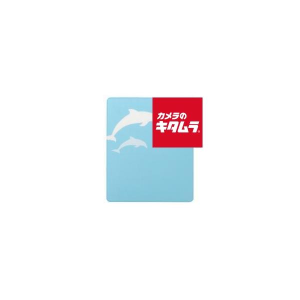 【発売日：2010年02月17日】[3,980円(税込)以上のご注文で送料無料][`elecom`MP111D`]