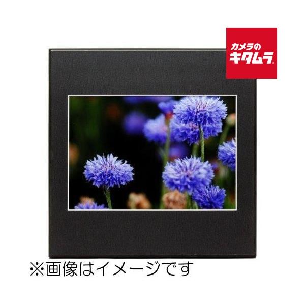 【発売日：2025年03月11日】[送料無料][`techtuit`フレーム`額`]