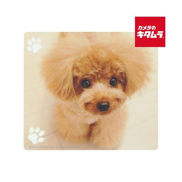 【発売日：2024年09月10日】[3,980円(税込)以上のご注文で送料無料][`SANWASUPPLY`]