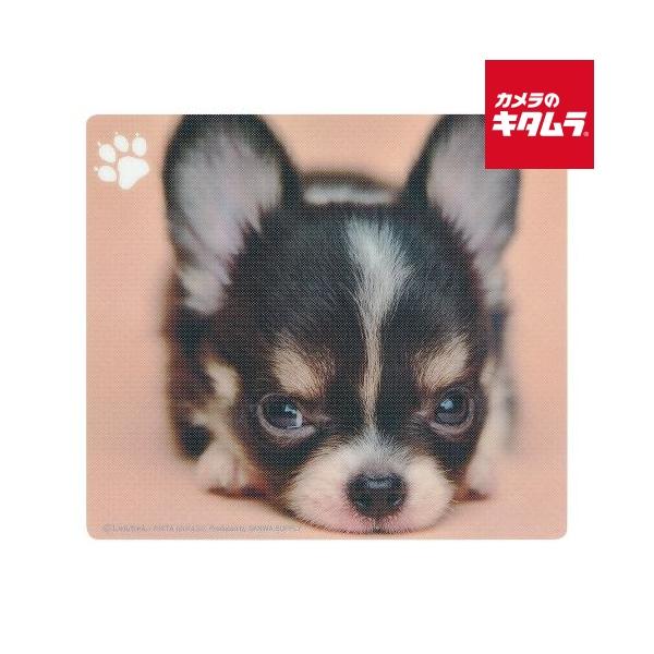 【発売日：2024年09月10日】[3,980円(税込)以上のご注文で送料無料][`SANWASUPPLY`]