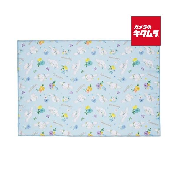 【発売日：2026年02月06日】[3,980円(税込)以上のご注文で送料無料][`skater`]