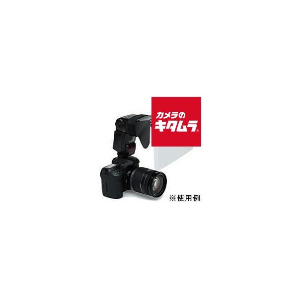 【発売日：2010年02月10日】[3,980円(税込)以上のご注文で送料無料][hakuba`拡散`B-IN`フラッシュ]