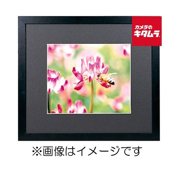 【発売日：2011年09月13日】[送料無料][FUJIFILM`FUJICOLOR`富士カラー`フレーム`4切`フジカラーワイドマットフレームM30004切ブラック]