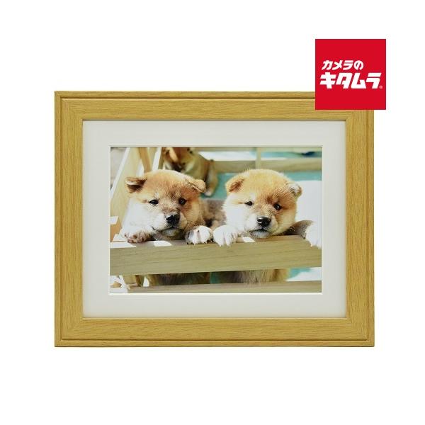 【発売日：2019年06月26日】[3,980円(税込)以上のご注文で送料無料]