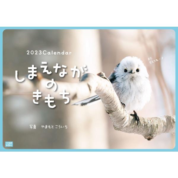 ■システム反映の都合上、ご購入後でも品切れになっている場合があります。その場合、ヤフーショッピングメッセージにて通知致します。必ずご確認をお願いします。■サイズ・カラー等の記載が無い場合や複数記載がある場合があります。ご不明点は、ご購入前に...