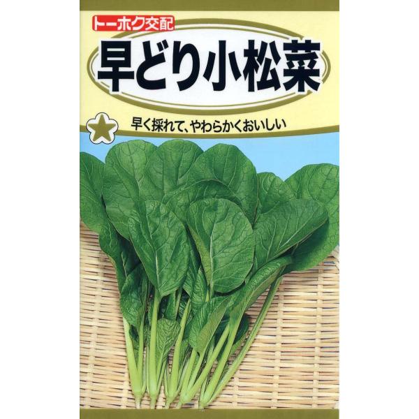 ■システム反映の都合上、ご購入後でも品切れになっている場合があります。その場合、ヤフーショッピングメッセージにて通知致します。必ずご確認をお願いします。■サイズ・カラー等の記載が無い場合や複数記載がある場合があります。ご不明点は、ご購入前に...