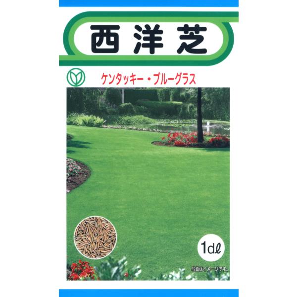 ■システム反映の都合上、ご購入後でも品切れになっている場合があります。その場合、ヤフーショッピングメッセージにて通知致します。必ずご確認をお願いします。■サイズ・カラー等の記載が無い場合や複数記載がある場合があります。ご不明点は、ご購入前に...