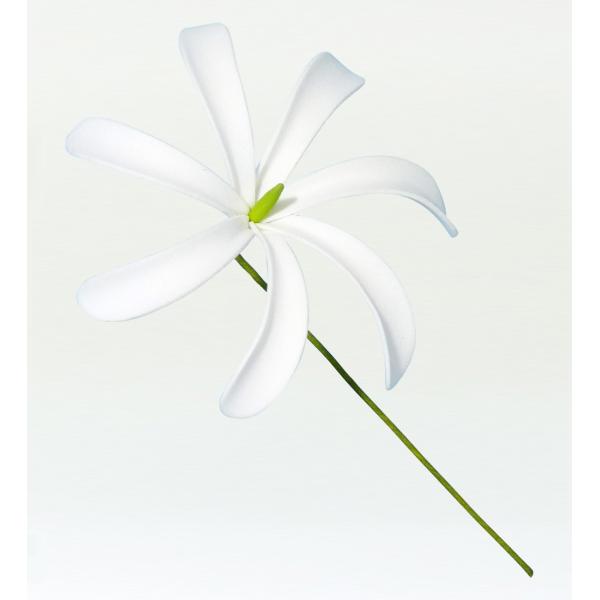 こちらは1点（数量1）の価格です。ティアレヘアピックは大きさも手頃で、ワイヤーを自由に曲げて加工できます。ホイケにも練習のアクセントにも使用できます。 （小物・アクセサリー・グッズ等 2個以上のご注文の場合、梱包はまとめさせていただきます。...