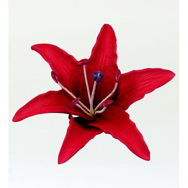 リリー ヘアクリップは大きさも手頃で、髪に留めてご使用できます。ホイケにも練習のアクセントにも使用できます。 （小物・アクセサリー・グッズ等 2個以上のご注文の場合、梱包はまとめさせていただきます。）※手作りですので１つ１つ多少違いがありま...