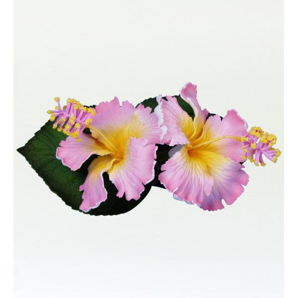 ハイビスカス 2連ヘアクリップは大きさも手頃で、髪に留めてご使用できます。ホイケにも練習のアクセントにも使用できます。 （小物・アクセサリー・グッズ等 2個以上のご注文の場合、梱包はまとめさせていただきます。）※手作りですので１つ１つ多少違...