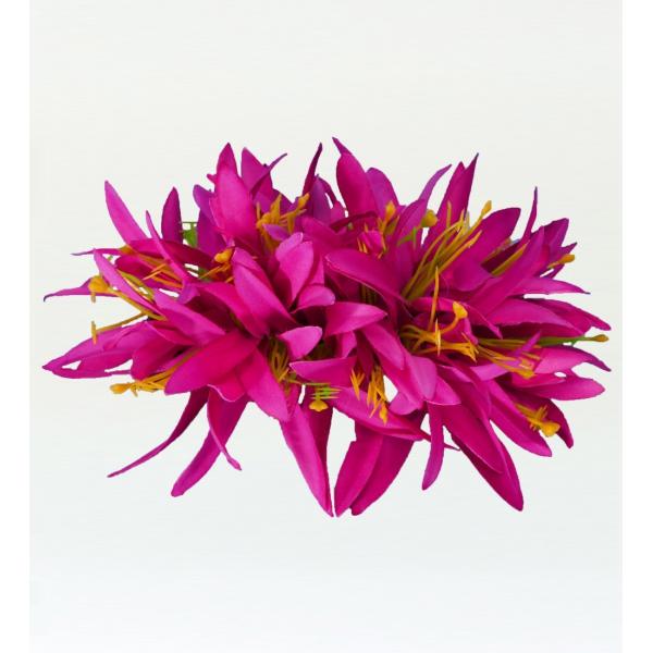 スパイダーリリーのヘアクリップは大きさもあり舞台等でおすすめです。ホイケにも練習のアクセントにも使用できます。 （小物・アクセサリー・グッズ等 2個以上のご注文の場合、梱包はまとめさせていただきます。）※手作りですので１つ１つ多少違いがあり...