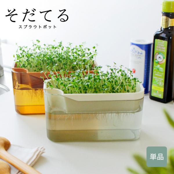 【おすすめポイント】・室内で簡単に育てられる・初めて栽培する方にも育てやすい・インテリアとして置くだけでもおしゃれ■ご注意※種は付属しておりません。※こちらは単品の販売ページです。■サイズ：H9.5cm×W18cm×D9cm■素材：(上ケー...