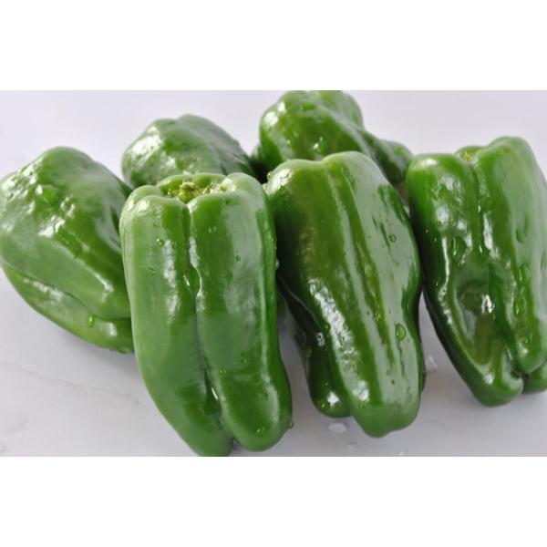 固定種の夏秋用中形ピーマン。草姿は半立性で枝が垂れにくい。草勢は比較的強く、黒あざ果の発生が少なく、果実は濃緑色でツヤがよい。露地栽培に向いています。●播く時期●温暖地：2月下旬〜●種まき時の深さ　：5〜10mm●発芽適温（地温）：25〜3...