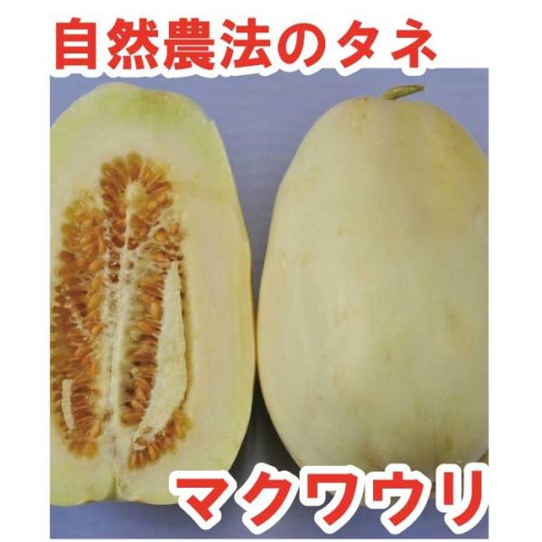 草勢強くゴロゴロ着果する。着果35〜40日で収穫。果実は卵形で、果皮は白っぽく、黄味がかるものもある。果肉は水分が多く、甘味が強く糖度は12度程度。可食期間が短いので、適期収穫を行うこと。●播く時期●温暖地：3月上旬〜3月下旬<　送料...