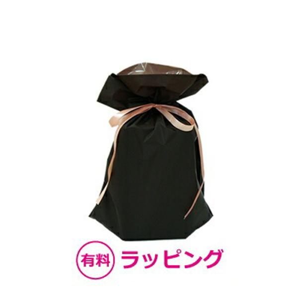 ※商品の外箱サイズに合わせて最適な大きさのラッピング袋を当店にてセレクトさせていただきます。※ラッピング袋に入らない商品はお受けできない場合がございます。その場合はご連絡させていただきますので予めご了承をよろしくお願いいたします。【ラッピン...