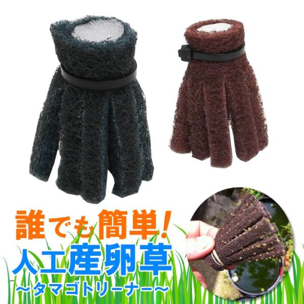 【品名】タマゴトリーナー【サイズ】約5cm【カラー】グリーン/ブラウン【入り数】3個当店オリジナルのハンドメイド商品です。シュロに変わる採卵器具です。メダカの隠れ場所となりメダカが安心して産卵！上から見て卵が確認でき卵の成育が確認できます。...