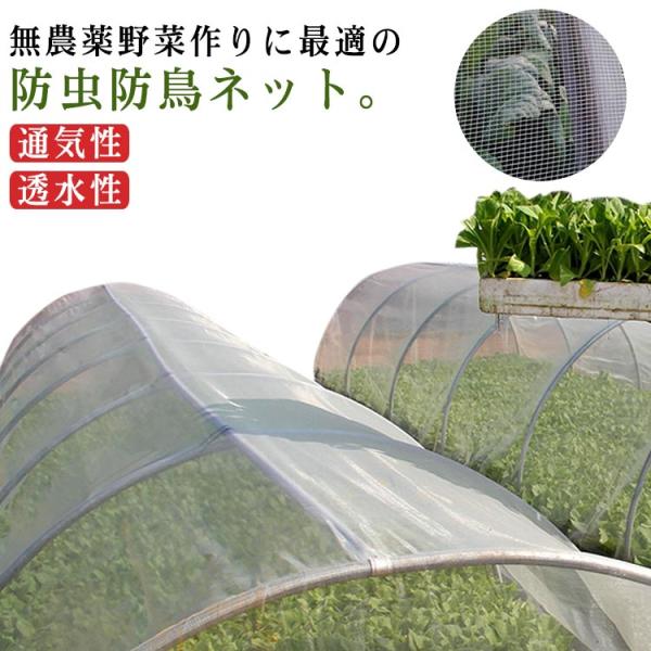 防鳥 虫除け 鳥よけ 防虫ネット 幅1/2/3m×長さ30M 防虫シート 網目が細かい 園芸 トンネル 虫よけ 畑 虫除けネット 防虫 防虫ネット ネ