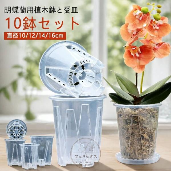 植木鉢 10鉢セット 胡蝶蘭鉢 透明 穴付き プラスチック 蘭の鉢 洋蘭鉢 受皿付き 観葉植物 多肉植物
