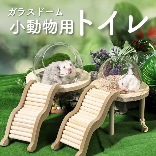 ドーム、土台、スロープの3点セット詳細ガラスドーム：直径 約13cm／入口 7cm土台：直径 約16cm／高さ 10cmスロープ：幅 約8cm／距離 約18〜20cm※手作業のため±0.5cm誤差あり透明なガラスドームの中でくつろぐ姿が楽し...